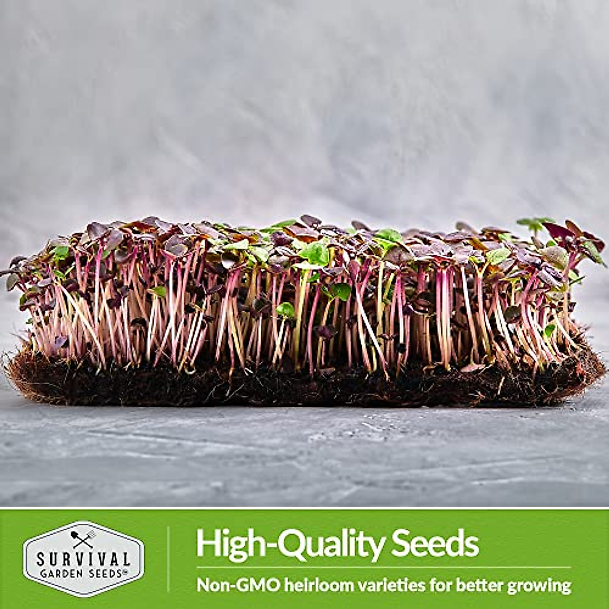 Survival Garden Seeds Opal Basil Microgreens for Sprouting and Growing - Seed to Sprout Green Leafy Micro Vegetable Plants Indoors - Grow Your Own Mini Windowsill Garden - Non-GMO Heirloom Variety