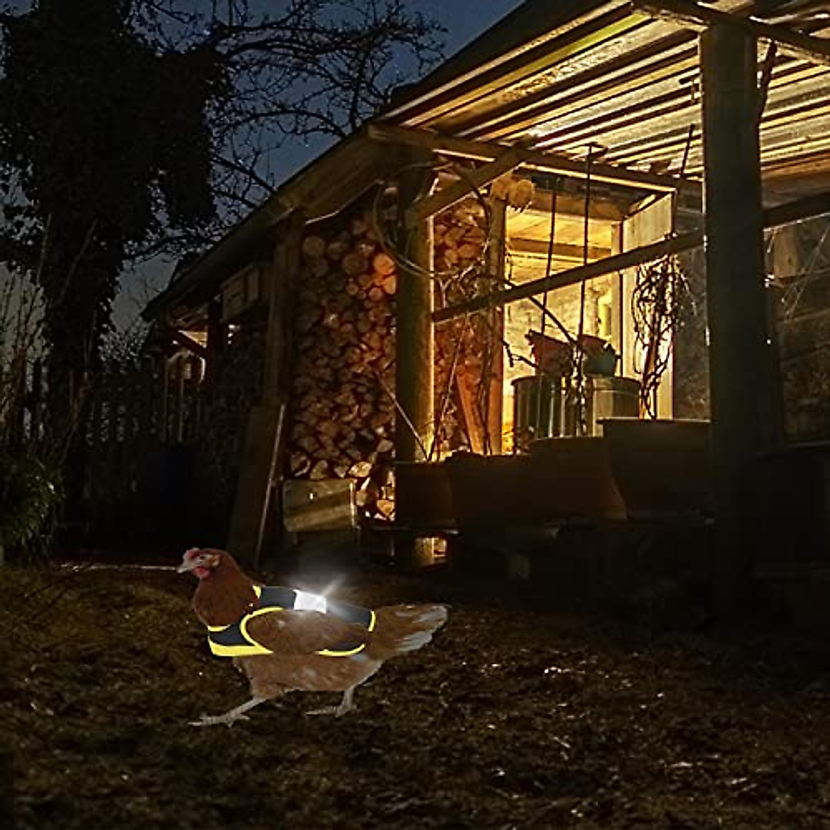 TTBDWiian Pet Clothes Hangers Chicken Saddle Hen Apron for Poultry Back Wing Pet Reflective Vest Adjustable Hen Saddle Apron