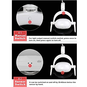 15W Induction Light Dental LED lamp AC/DC 12-24V Dental Oral Lamp for Dental Chair Unit, Pet Surgery Lamp（22mm Connector）