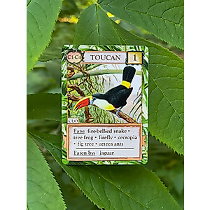 Montrose Biology Ecologies: Hidden Habitats - Use Science to Build Food Webs in 7 Biomes - Beautiful Vintage Nature Art for The Classroom or Game Night