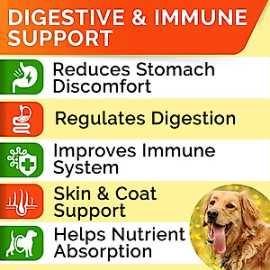 STRELLALAB Dog Allergy Relief 2 Packs 240 ct + Probiotics 120ct - Dog Itchy Skin Treatment - Omega 3 & Pumpkin + Prebiotics - Allergy Chews & Anti Itch Support Supplement + Gas, Upset Stomach Relief