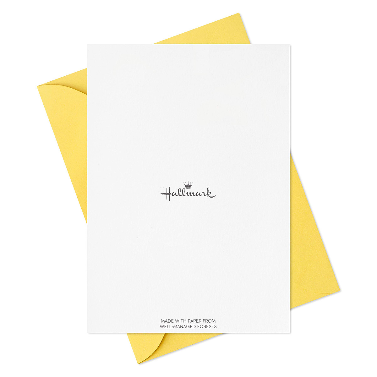 Hallmark Thank You Cards Assortment - Bright Primary Colors (48 Pack)