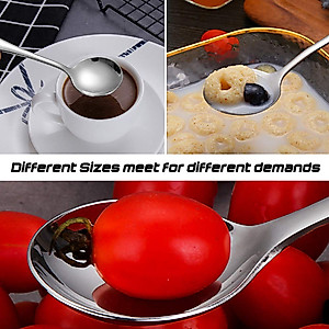 Set of 9, Stainless Steel Round Soup Spoons, SourceTon 3 Sizes of Soup Spoons, Use for Home, Kitchen or Restaurant- 7.5 Inch, 6.6 Inch, 6.3 Inch