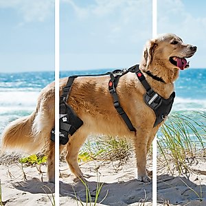Virbraroo 8X Support Dog Knee Brace with Metal Strips for Joint Pain Relief, Dog Leg Brace for Torn Acl Hind Leg, Rear Leg Brace with Adjustable Traction Belt for Cruciate Ligament Injury (M)