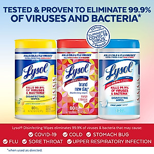 Lysol Disinfectant Wipes Bundle, Multi-Surface Antibacterial Cleaning Wipes, contains x2 Lemon & Lim Blossom, Crisp Linen, Mango & Hibiscus, 80 Count (Pack of 4)