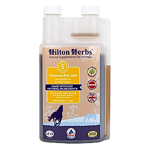 Hilton Herbs Echinacea Plus Gold Liquid Herbal Immunity Supplement for Horses, 2.1pt Bottle