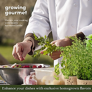 9 Herb Indoor Window Garden Kit - House Plants Seeds - Best Unique Easter Gift Ideas for Women, Mom, Friend, Her, Birthday, Housewarming, Mother - New Home Kitchen Gifts - Live Plant Starter