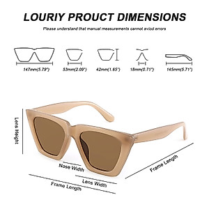 Louriy Vintage Square Cat Eye Sunglasses Women Large Trendy Retro Sun Glasses Classic Thick Rectangle Frame
