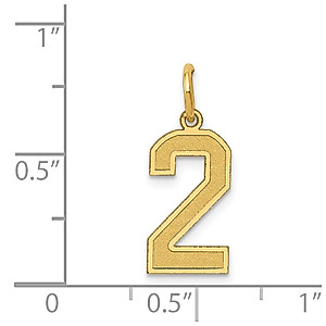 Solid 14k Yellow Gold Medium Number 2 Charm Brushed Matte Finish Pendant - 20mm x 8mm