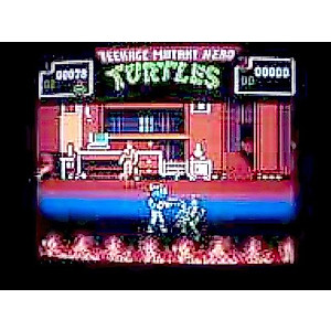 Teenage Mutant Hero Turtles the Coin-up
