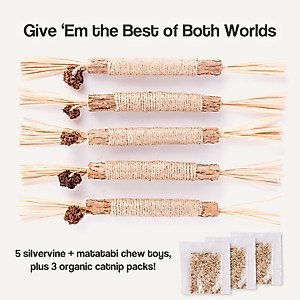 Cat Park Silvervine Sticks for Cats 5 Pcs, Natural Catnip Cat Chew Toys for Indoor Cats Teeth Cleaning, Aggressive Chewers, Kitten Teething Matatabi Chew Stick Cat Toys, Silvervine for Cats Dental Toy