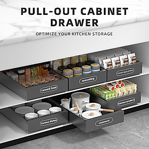 Laloton Pull Out Cabinet Organizer, Cabinet Pull Out Shelves 11.8" W x 16.9" D, Pull Out Drawers for Cabinets, Heavy Slide Drawers Fixed with Adhesive Nano Film Fixed, for Kitchen, Bathroom (Grey)