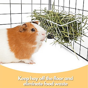 TiereCare Rabbit Hay Feeder - 2Pcs Metal Rack Hay Holder for Guinea Pig Small Animals Grass Rack for Bunny Chinchilla Cage Reduce Mess 9x4x3 Inch