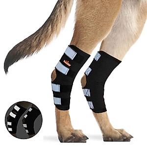 NeoAlly Pair Dog Rear Leg Brace Canine Rear Hock Joint Support with Safety Reflective Straps for Joint Injury and Sprain Protection, Wound Healing and Loss of Stability from Arthritis (M Pair)