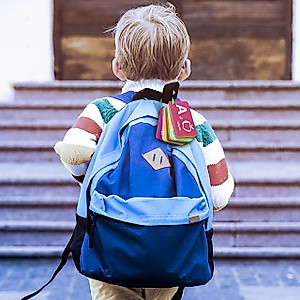 AMAFHHA Alphabetical and 123 Number Flash Cards for Babies, Kids and Toddlers (ABC Flash Cards)