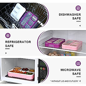 HIWARE Bento Lunch Box for Kids and Adults, Leakproof Lunch Container for Girls, Women with 4 Compartments, BPA-Free, 2 Pack