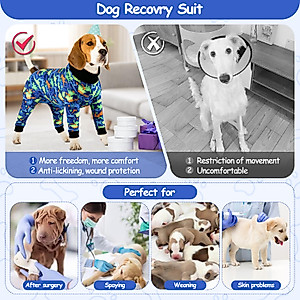 Etdane Dog Onesie Surgery Recovery Suit for Female Male Dogs After Spayed Suit Surgical Recovery Suit Anti Shedding Body Suit for Small Medium Large Dog Dinosaurs/L