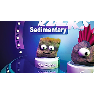 10 DVD Math & Science Collection by Rock 'N Learn (Addition & Subtraction, Tell Time, Money, Multiplication, Division, Fractions, Physical Science, Earth Science, Life Science and Human Body)