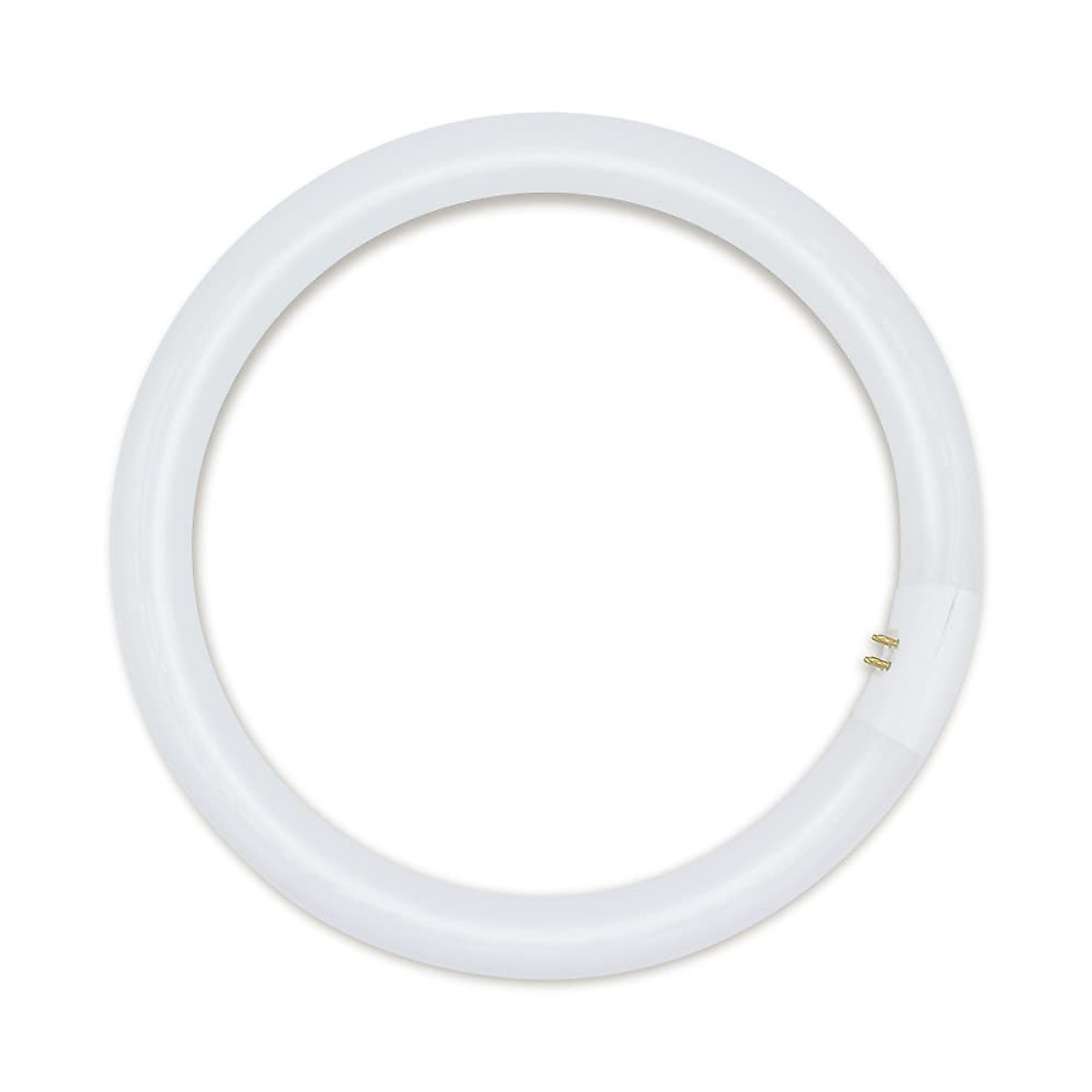 Technical Precision FC12T9 32W Circline Bulb Replacement for GE FC12T9/KB 12 Inch Fluorescent Circular Light Bulb with 4-Pin G10q-4 Base - 15000 Hours - 3000K Warm White - 1950 Lumens - CRI 52