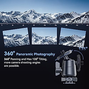 SmallRig Mini Ball Head (2 Pack) with 1/4" Screw and Removable Shoe Mount, 360 Degree Rotatable Aluminum Tripod Head for Camera Tripods Monopods Camcorder Light Microphone, Max. Load 1.5 kg - 2948B