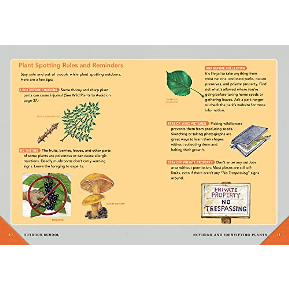 Outdoor School: Tree, Wildflower, and Mushroom Spotting: The Definitive Interactive Nature Guide