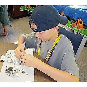 Mountain Home Biological, Inc. Jumbo Owl Pellets, Pack of 5, with Bone Sorting Sheet