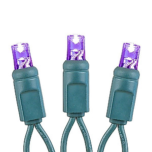 Novelty Lights 100 Purple LED Net Lights (4 FT X 6 FT), 5MM Lights, Green Wire, Outdoor Christmas Decoration, Bush Hedge Net Lighting