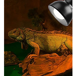 BOEESPAT 2 Pack 100W Reptile Heat Lamp Bulbs, UVA Reptile Light Bulb (2nd Gen), Daylight Basking Bulb for Bearded Dragon, Lizard,Tortoise,Hedgehogs,Amphibian...