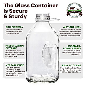 The Dairy Shoppe Heavy Glass Milk Bottles - Jugs with Lids and Extra Silicone Pour Spout - Clear Milk Containers for Fridge - Reusable Glass Milk Jug Dispenser - Made in USA (64 oz, 2 Pack)