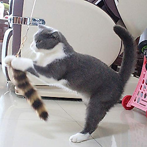 Fosrion Real Raccoon Tail Fur Cat Bites Toy with Three Section Retractable Carbon Fiber Rod (Raccoon) (Raccoon, Tail & Fishing Rod)