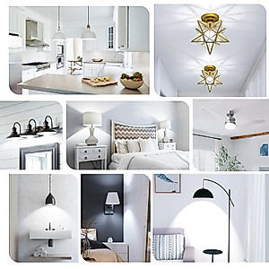 Maylaywood A19 LED Light Bulb Dimmable, 60 Watt Equivalent LED Bulbs, Daylight White 5000K, 900 Lumen, E26 Base, 9W Bright White Light Bulb, 12-Pack