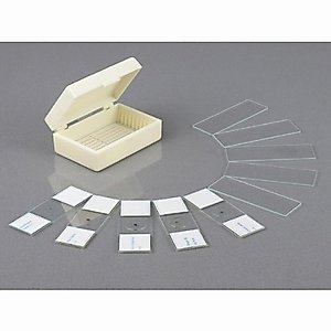 AmScope M60A-BTK Beginner Microscope Kit, Mirror Illumination, WF10x and WF16x Eyepieces, 40x-640x Magnification, Includes Case, 5 Blank Slides, 5 Prepared Slides, and Book