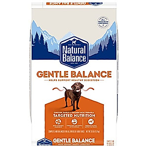 Natural Balance Gentle Balance Chicken Barley & Salmon Meal Adult Dry Dog Food 26 Pound (Pack of 1)