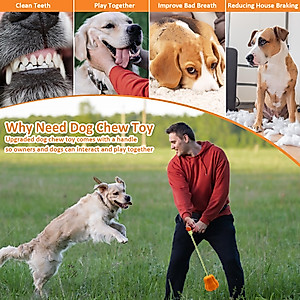 Vayugo Dog Chew Toys with Rope for Aggressive Chewers, Puppy Teeth Chew Pumpkin Natural Rubber Toy, Interactive Hand Toss Pumpkin Dog Toy, Indestructible Dog Toy for Small Medium Large Breed