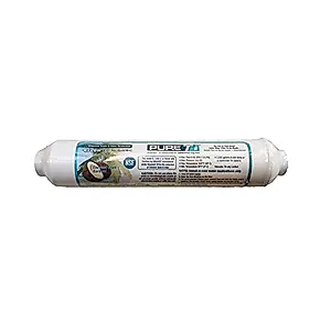 IPW Industries Inc. (IL-10W-C-38) 10" x 2" Inline Granulated Activated Carbon Filter w/ 3/8" NPT Connections