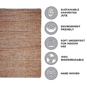 Lush Ambience Lara Premium Jute Area Rug, Jute Rug for Living Room, Bedroom, Farmhouse, Natural Jute Rug 4X6 Ft Braided Rug