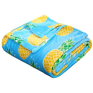 Valerian Luxury Velvet Super Soft Light Weight Blanket Prints Fleece Throw - All Year Round Home Decor, Fuzzy Warm and Cozy Throws, Couch and Gift, 50 x 60inch, Pineapple