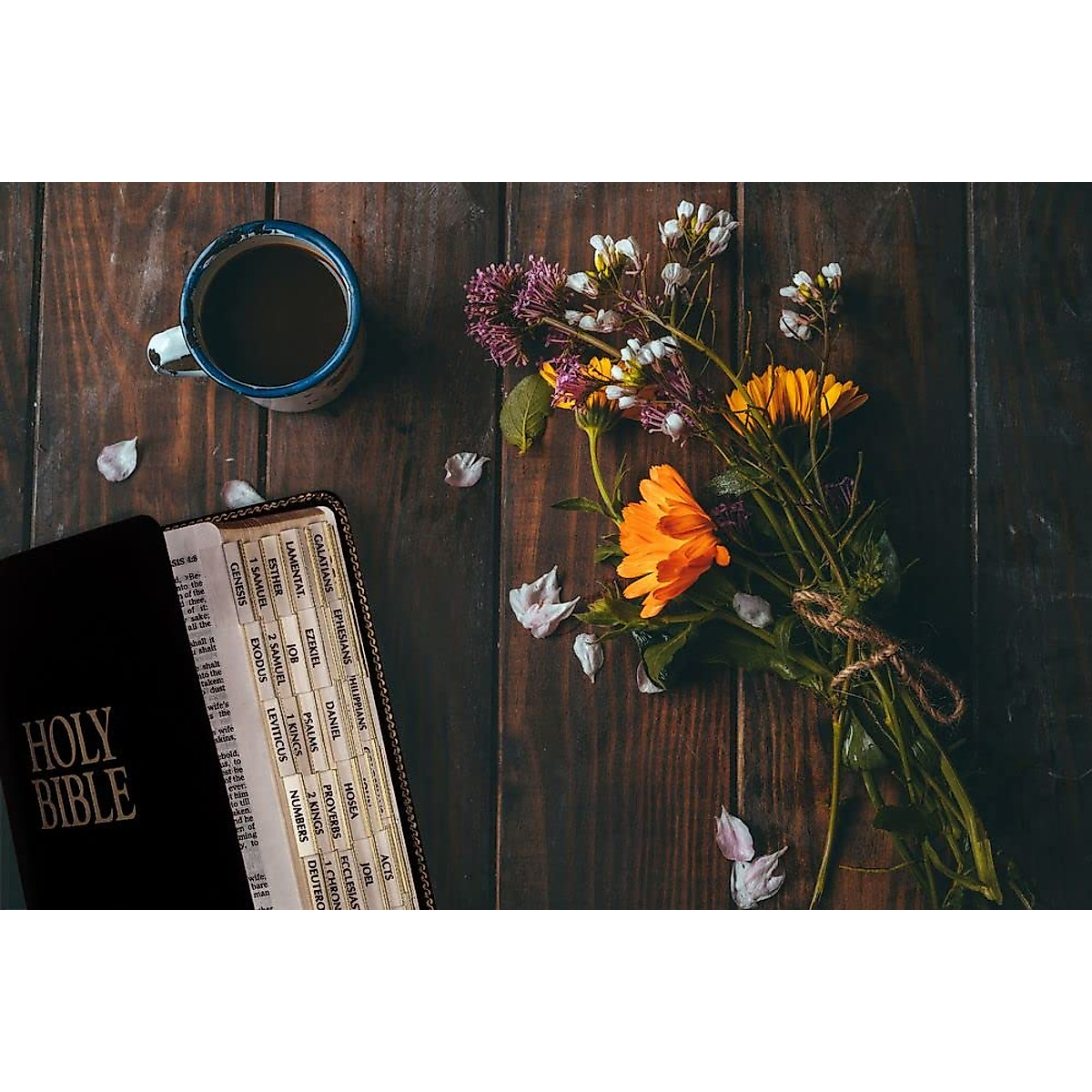 Tabbies Gold-Edged Bible Indexing Tabs, Old & New Testament, 80 Tabs Including 64 Books & 16 Reference Tabs (58331)