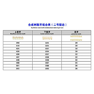 SDent® 2 Boxes 2 Layers Super Hard Synthetic Resin Teeth Multi-Layer Acrylic Composite False Teeth Denture Polymer Polymerial Materials & Full Set & A3 & 84PCS More Options on Size Name Chart