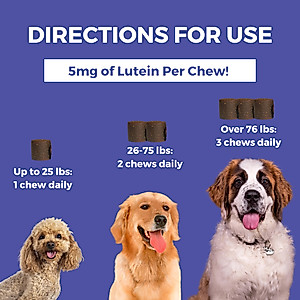 Nootie Progility Tear Stain Supplement for Dogs, Advanced Eye Health Formula, Helps Minimize Tear Stains, 80 Chews, Sold in Over 10,000 Vet Clinics and Pet Stores Worldwide