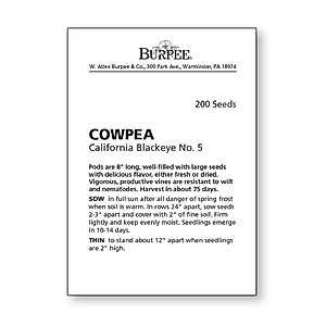 Burpee California Blackeye No.5 Cowpea Seeds 200 seeds