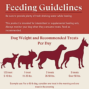 OTIS Bison Jerky for Dogs | Protein Packed, Pasture-Raised, Grass-Fed Bison Jerky Dog Treats Healthy Dog Treats - Wild Things | 4 Ounce Bag