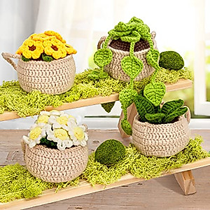 Karsspor Crochet Kit for Beginners - 4 PCS Hanging Potted Plants, Beginner Crochet Kit for Adults with Easy to Follow Tutorials, Complete Crochet Kit for Beginners Adults (Patent Product)