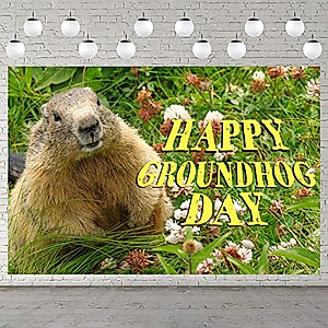 Happy Groundhog Day Banner Background Realistic Cute Animals Flowers Green Grass Theme Decor for 1st Birthday Party Spring February 2nd Holidays Festival Groundhog Day Supplies Favors Decorations