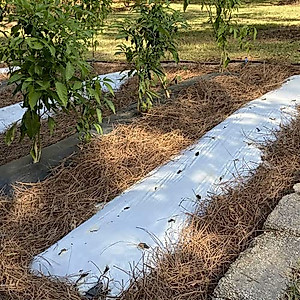 Beginner Garden Drip Tape Kit A-BV-B Irrigation-Mart