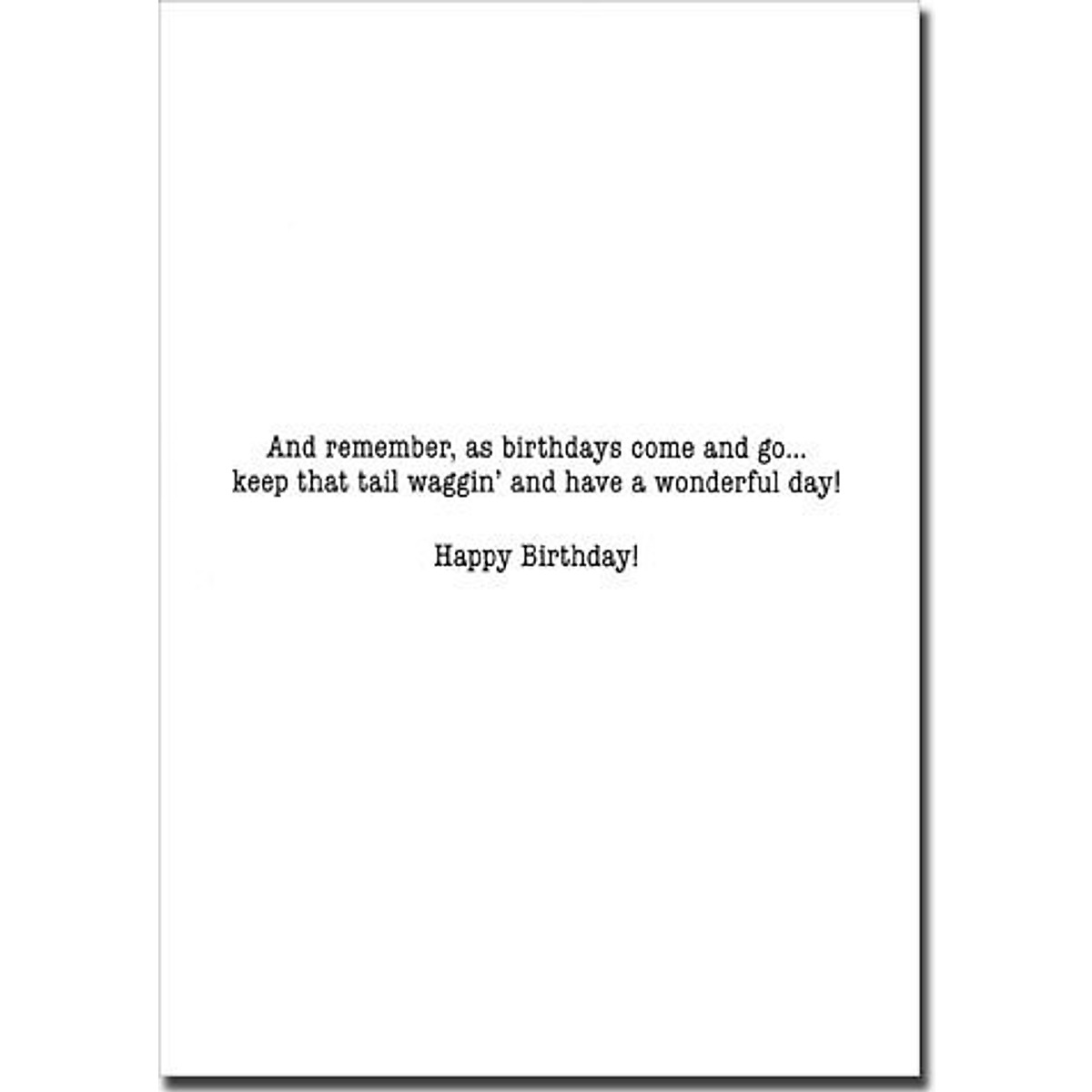 All I Need From Dog - Portal Funny Birthday Card