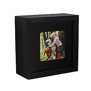 Conceal-a-Cam for Ring, Blink or Wyze Cameras (Black)