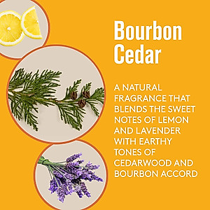 Barrel and Oak - Aluminum-Free Deodorant, Deodorant for Men, Essential Oil-Based Scent, 24-Hour Odor Protection, Cedarwood & Bourbon Aroma, Gentle on Sensitive Skin, Vegan (Bourbon Cedar, 2.7 oz)