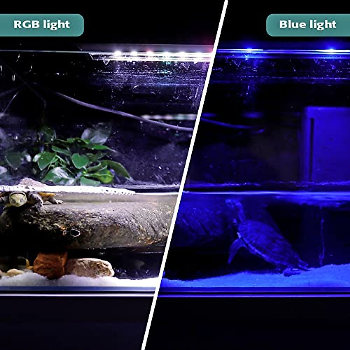 hygger 11W Full Spectrum Aquarium LED Light with 10 Levels of Brightness, White Blue Red Green LEDs,6H8H12H Timer,RGB Light for 12~19IN Freshwater Fish Tank,Aquatic Plants Tropical Ornamental Fish