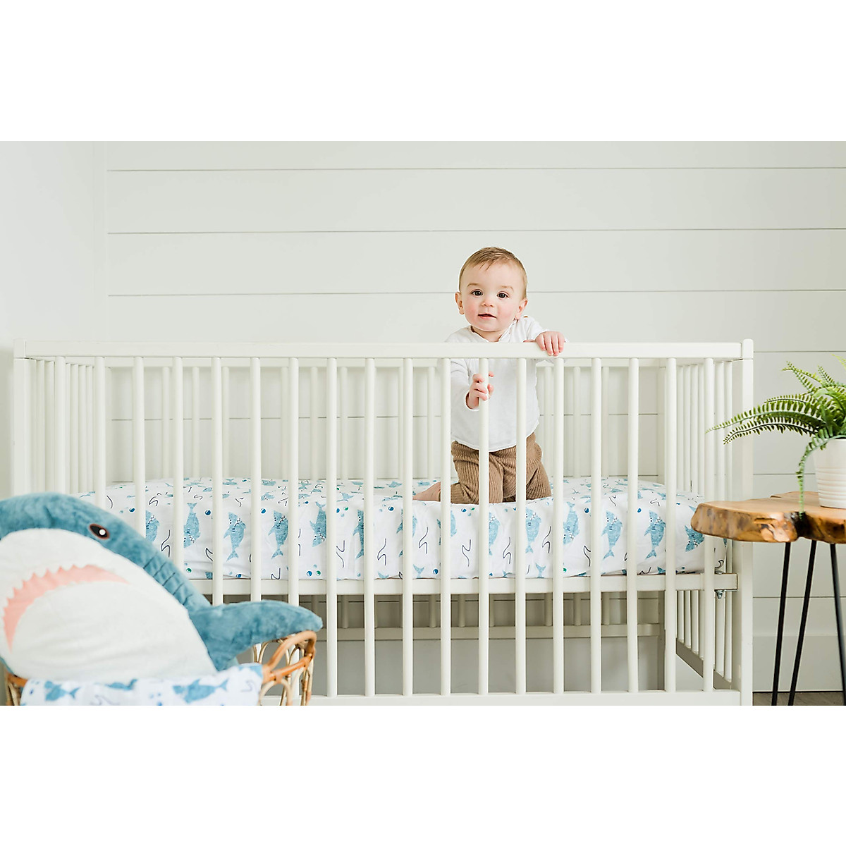 100% Cotton Fitted Crib Sheet - Premium Baby Bedding - Soft, Breathable & Durable - Shark Print